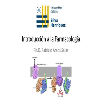 FARMACOLOGÍA. FARMACOCINETICA Y FARMACODINAMIA | PPTX