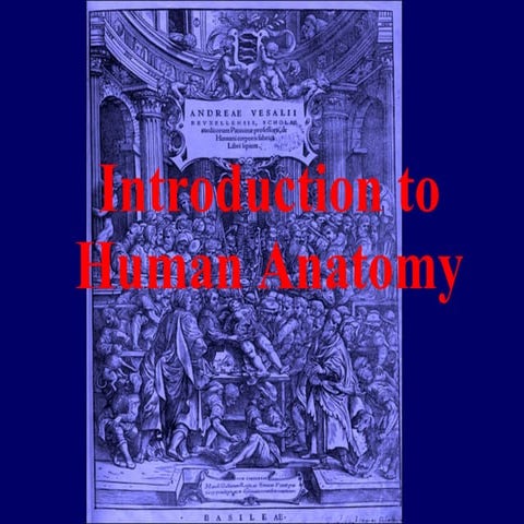 Anatomy Introduction | PPT