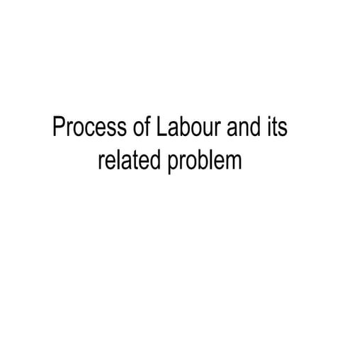 01 LABOUR.ppt