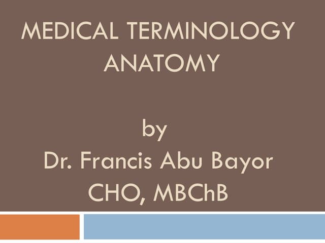 Basic anatomical terminology | PPT
