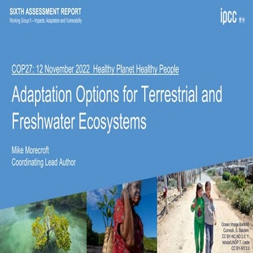 Adaptation options for terrestrial and freshwater ecosystems | PPT