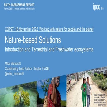 Introduction including perspective on new UN definition of nature-based ...