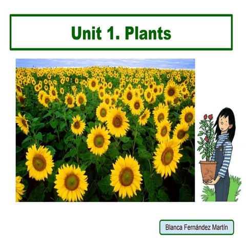 PLANTS | PPT