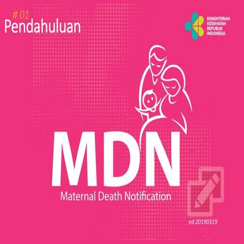 Digital Maternal Perinatal Death Notification (MPDN) for Effective ...