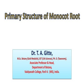 Root - Characteristics, types, Structure & Functions | PPTX