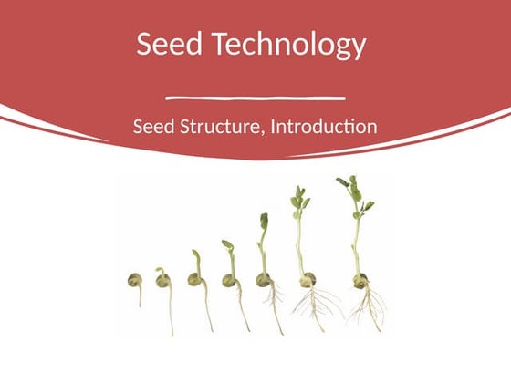 seed : structure, parts of a seed, types | PPTX | Gardening | Home & Garden