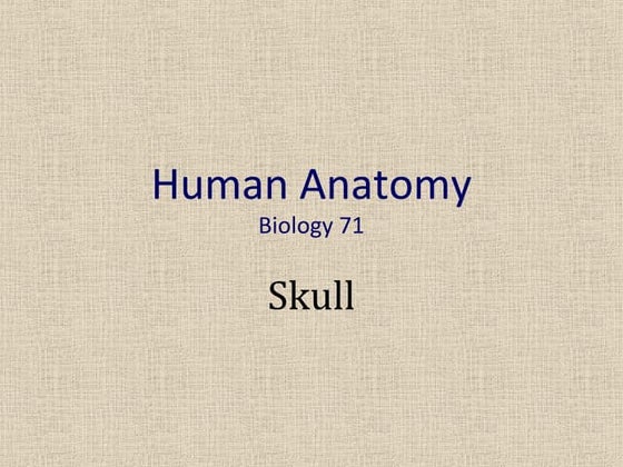Anatomy of the Skull | PPT | Bone and Joint Conditions | Diseases and ...