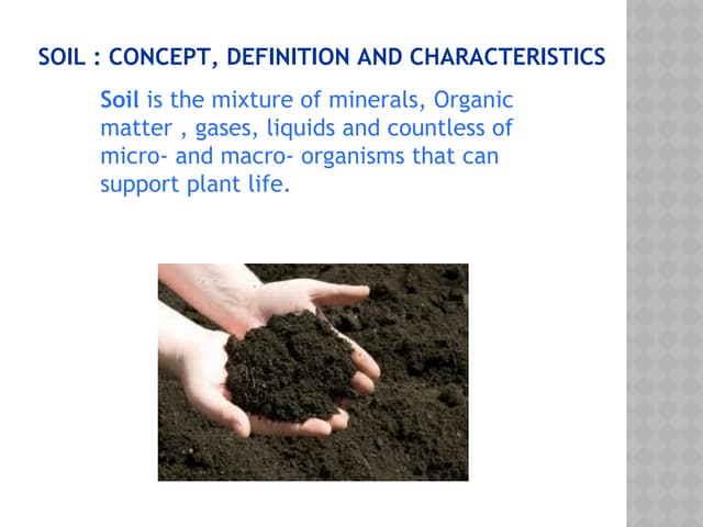 Soil, Pedological and Edaphological Concepts | PPTX | Gardening | Home & Garden