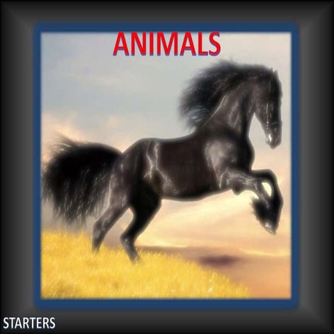 01 Starters: Animals | PPTX