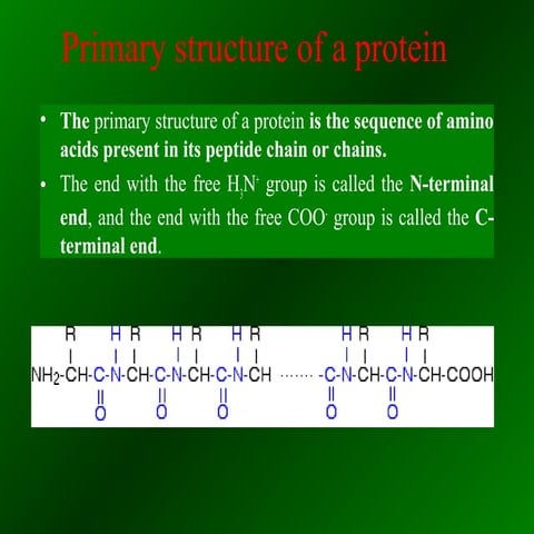 structure, properties and biological functions of proteins. | PPT