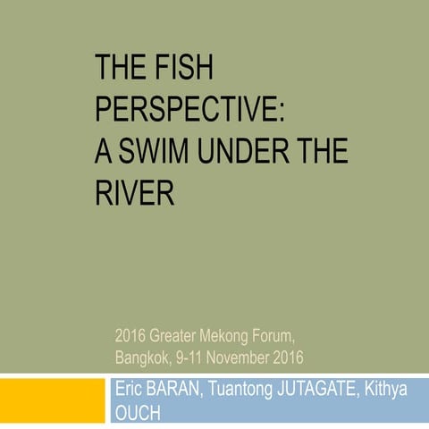 The Fish Perspective: A Swim Under the River | PPT
