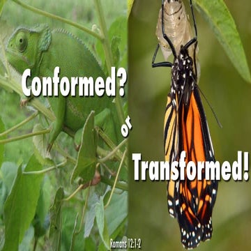 Conformed? or Transformed! | PDF