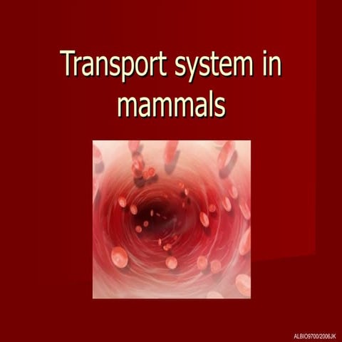Transport system in humans | PPTX