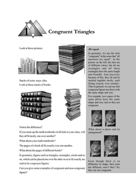 COT3 Lesson Plan Grade 8 | DOCX
