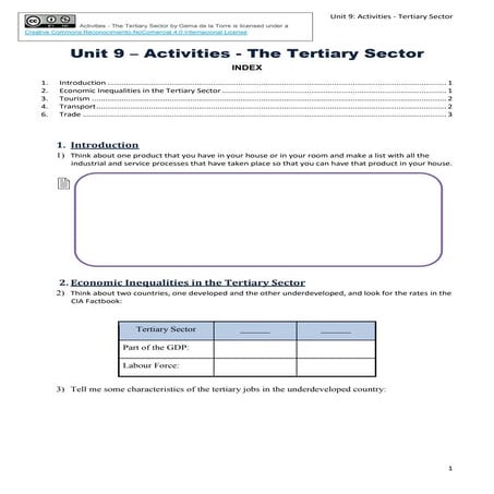 Unit 4: Activities Tertiary Sector | PDF