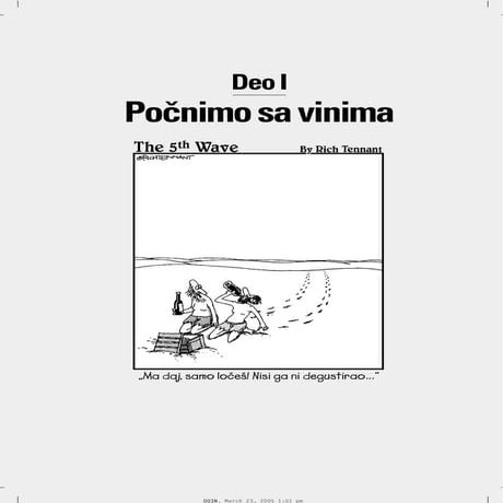 01 vin osnovno o vinima | PDF