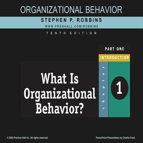 What Is Organizational Behaviour | PPT