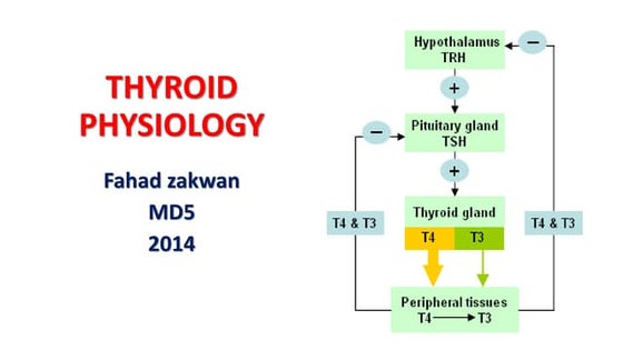 Synthesis of thyroid hormones | PPT