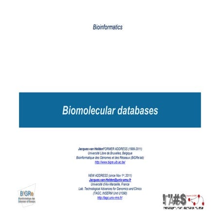 02.databases slides | PPT