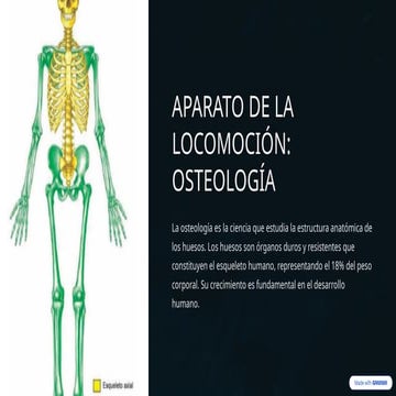presentacion de tema aparato de la locomocion osteologia | PPTX
