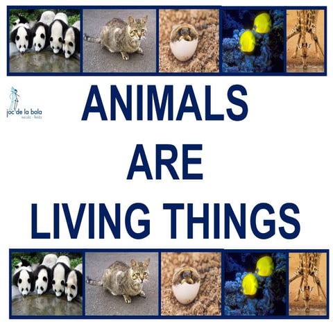 ANIMALS ARE LIVING THINGS | PPS | Pets