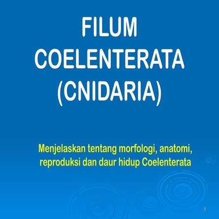02-Coelenterata Ciri Khas, Daur Hidup dan SIstem Tubu | PPT
