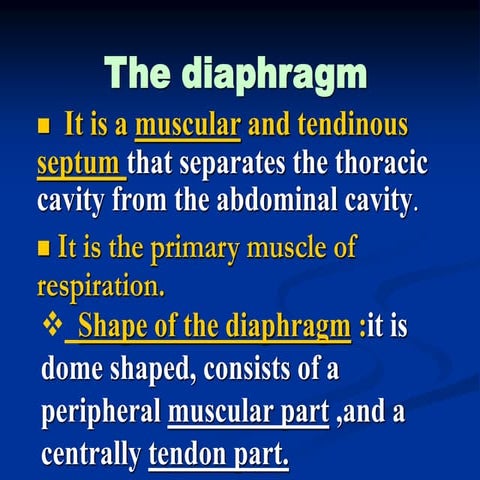 Anatomy of The Diaphragm | PPTX