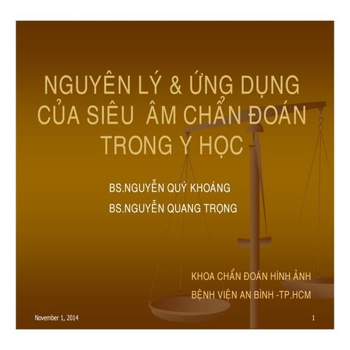 nguyen ly va ung dung sieu am | PDF