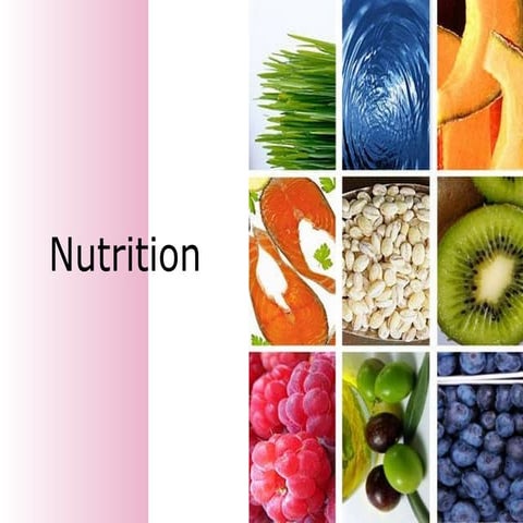 02 nutrition | PPT