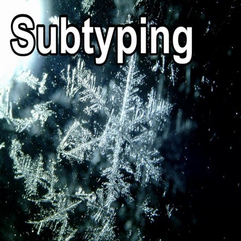 Subtyping | PDF