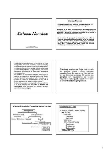 SISTEMA NERVIOSO..pptx.................. | PPTX