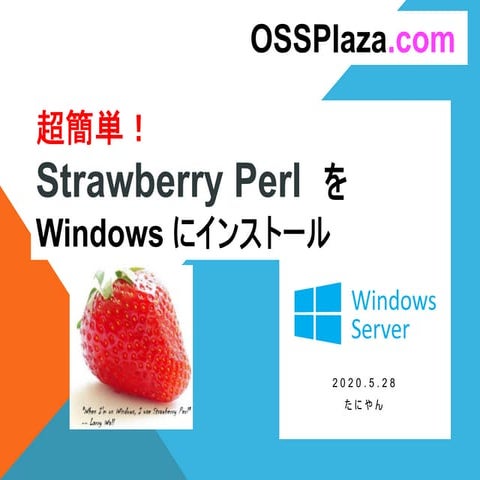 超簡単! Strawberry PerlをWindowsにインストール | PDF