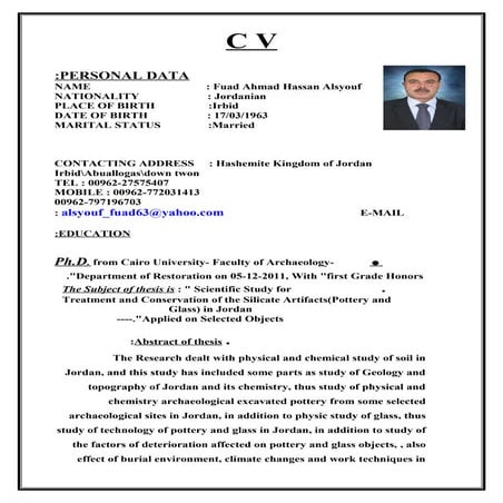 CV English | PDF