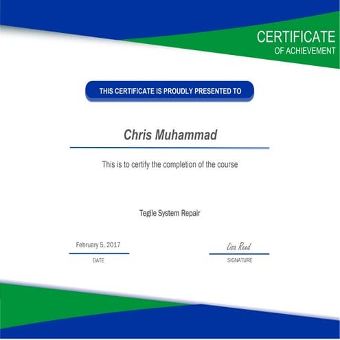 Tegile System repair | PDF
