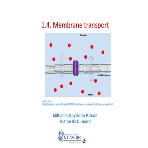1.4. Membrane transport | PPT