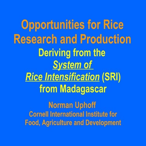 0212 Opportunities for Rice Research and Production Deriving from the ...