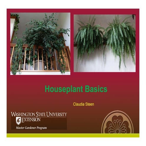 0221-House-Plant-Basics health benefits.pdf