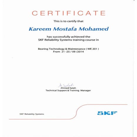 SKF Certificate | PDF