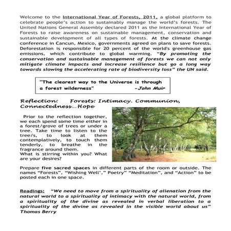 Reflection on Forests | DOC