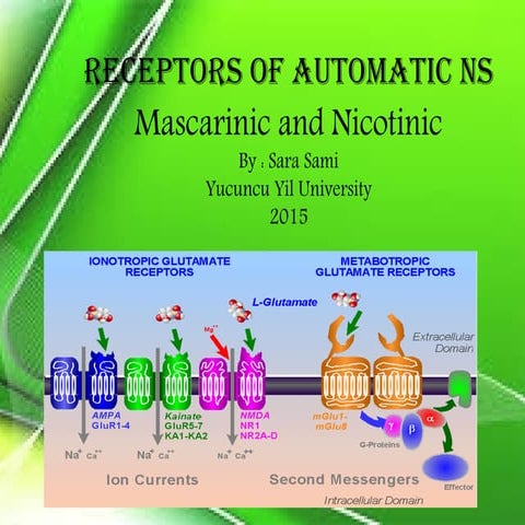 Receptors of automatic nervous system | PPT