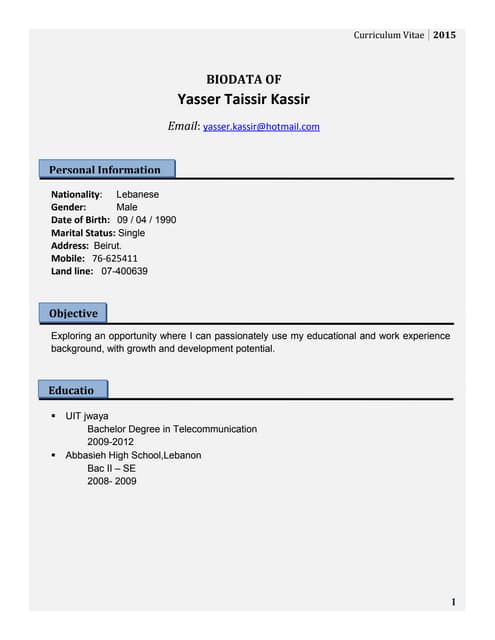 Charbel Nassar CV 2016 | DOCX