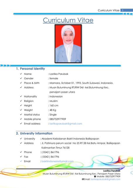 CV widodo english | PDF