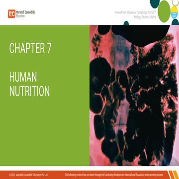 IGCSE Biology. Chapter 7 Human nutrition | PDF