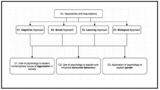 Biological Basis of Behavior unit 2.pptx