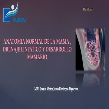 Anatomia de la mama | PDF