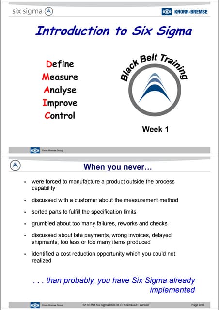 Wakefern Wound Care Analysis | PDF