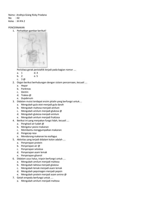 Soal biologi sistem pencernaan uploud | PDF