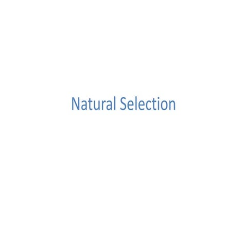 02b natural selection | PPT