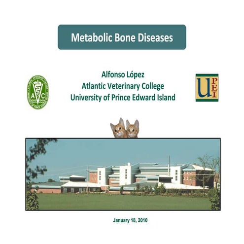 02_disease of bone_metabolic general.pdf