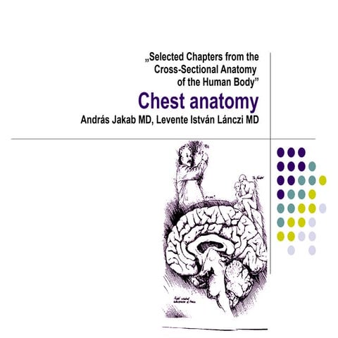 chest | PPT